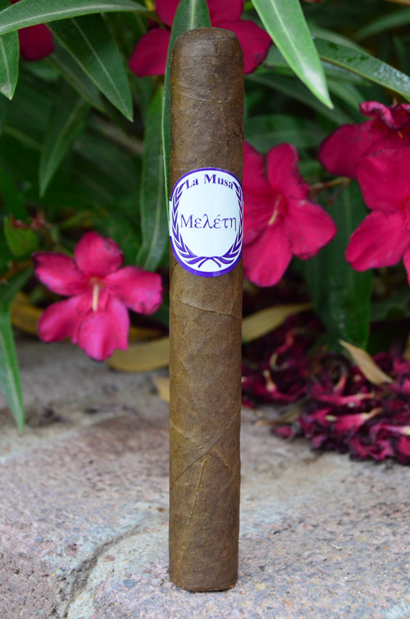 Emilio Cigars - La Musa Melete (Full) - Cigar Reviews | Beer Pairings ...